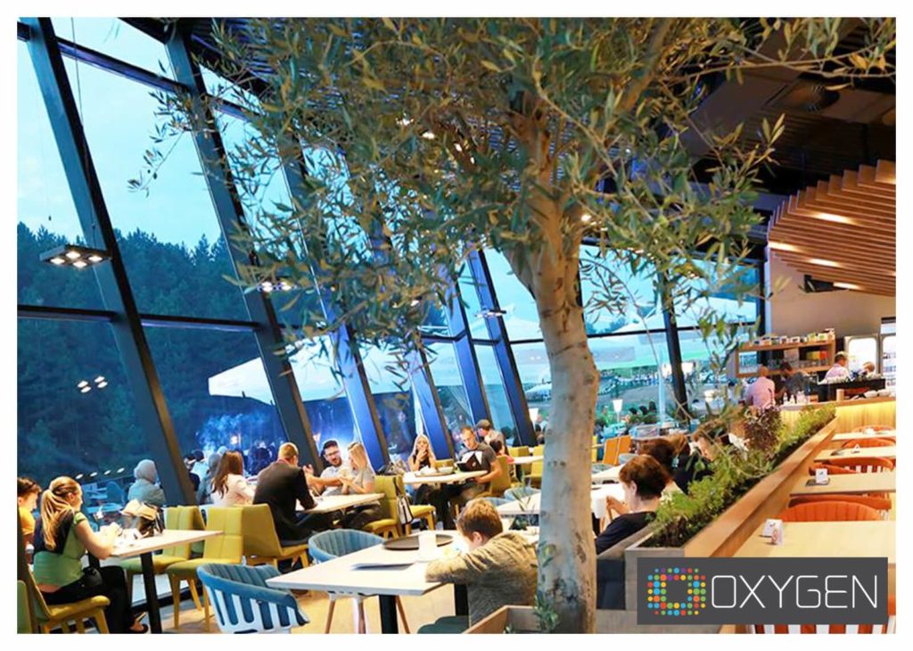 OXYGEN restaurant – AMNA BM Design